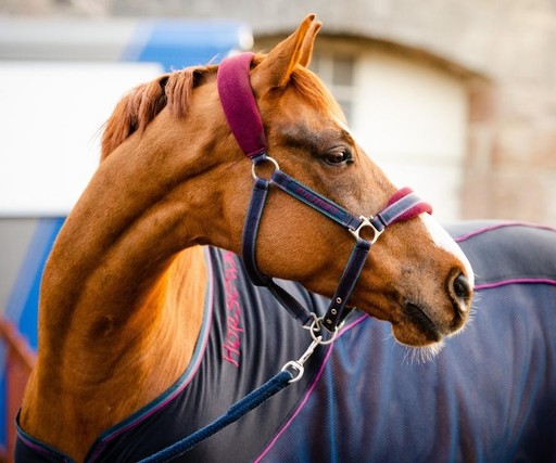 Horseware Products at The Equine Warehouse Ireland