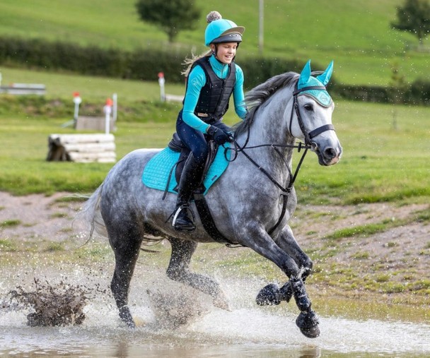 Lemieux Colour Collections