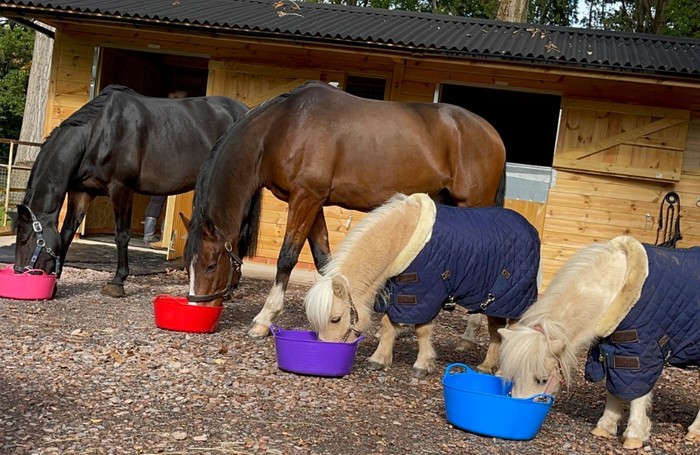 Stable & Yard - The Equine Warehouse