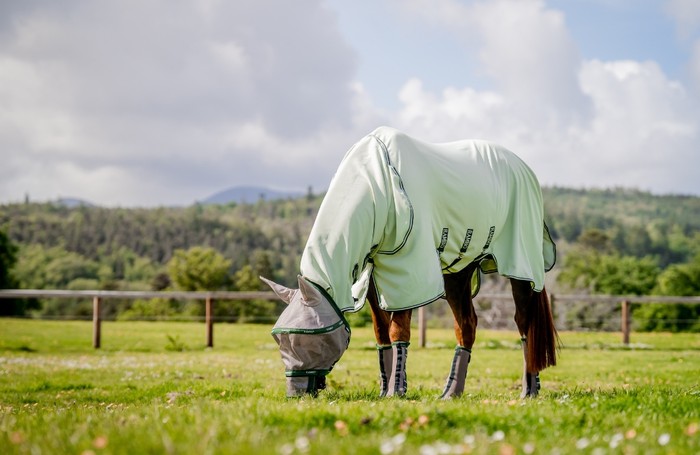 Horse - Equine Warehouse - The Equine Warehouse