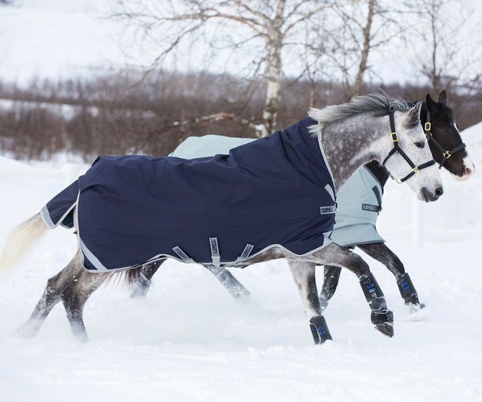 The Equine Warehouse