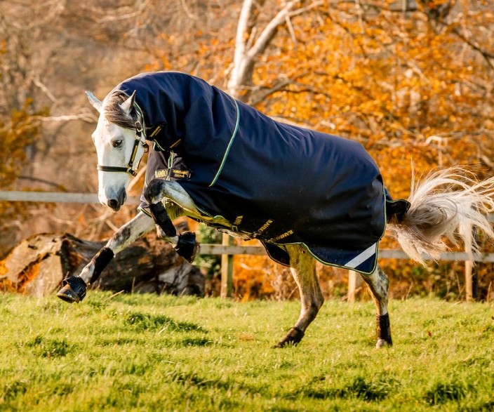 The Equine Warehouse