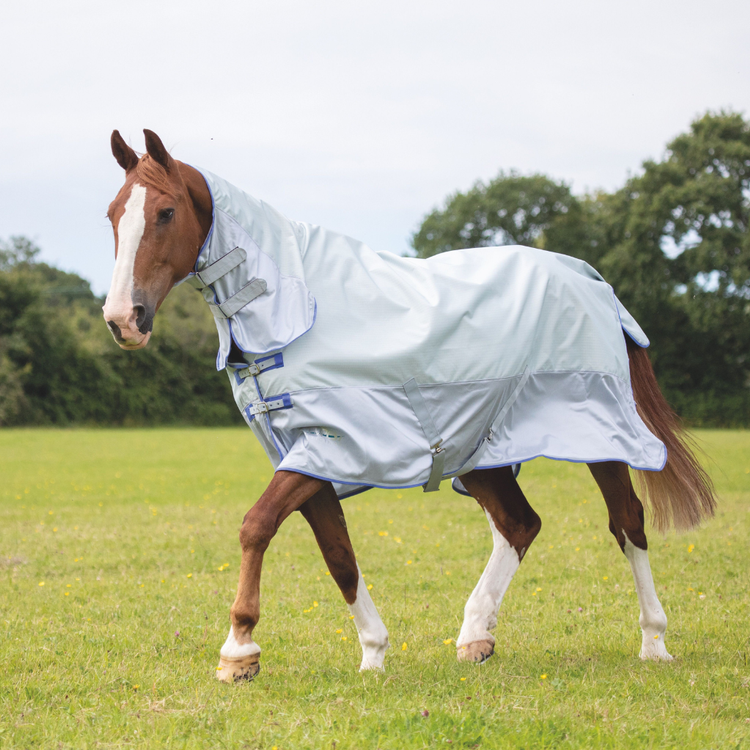 The Equine Warehouse