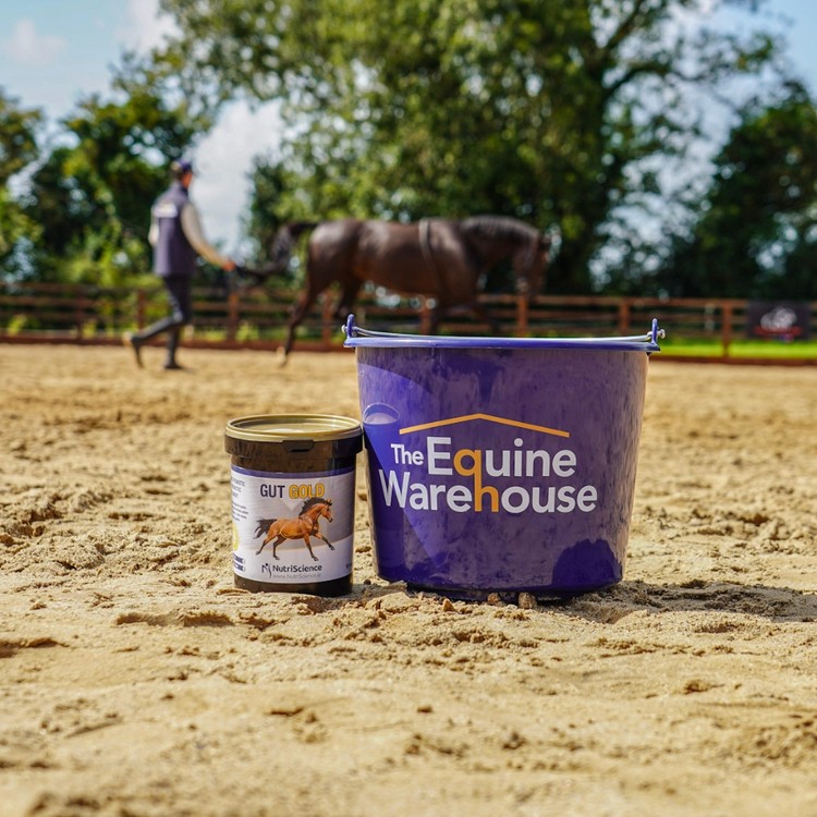 The Equine Warehouse