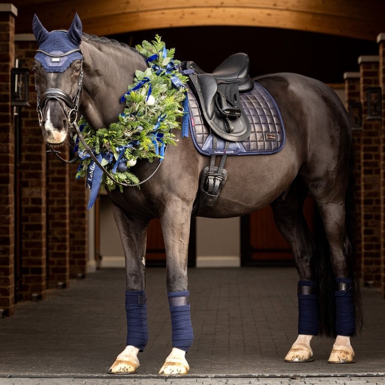 The Equine Warehouse