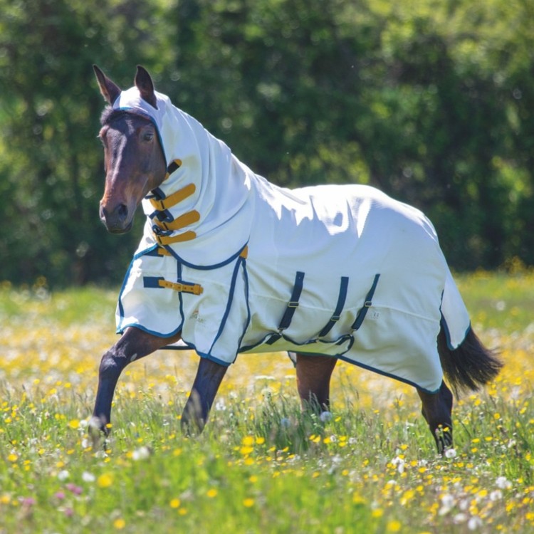 The Equine Warehouse