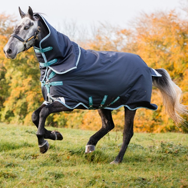 The Equine Warehouse