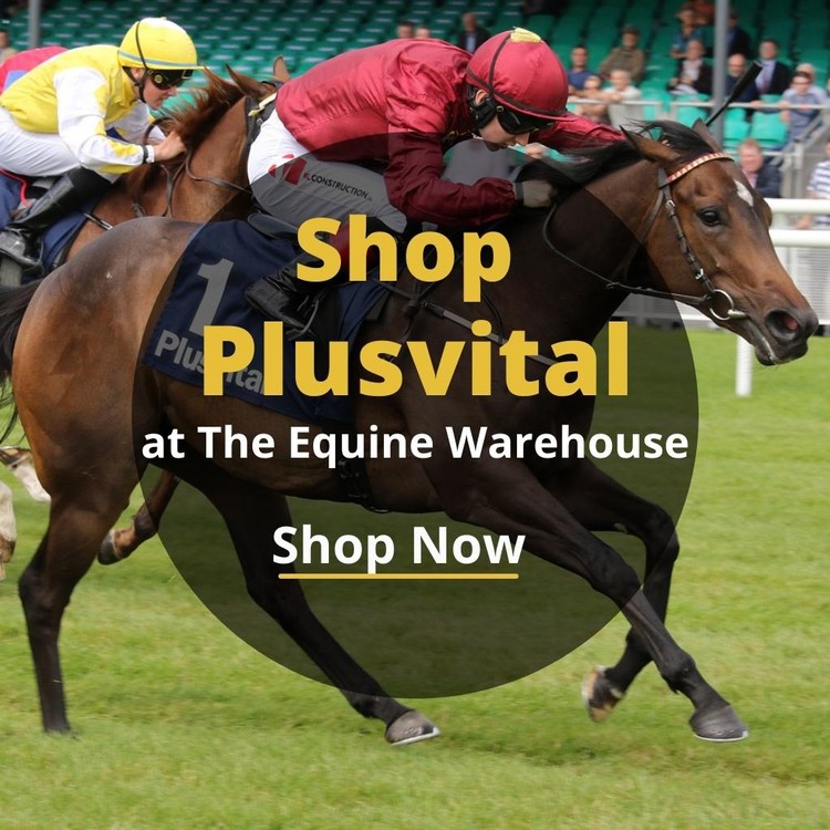 The Equine Warehouse