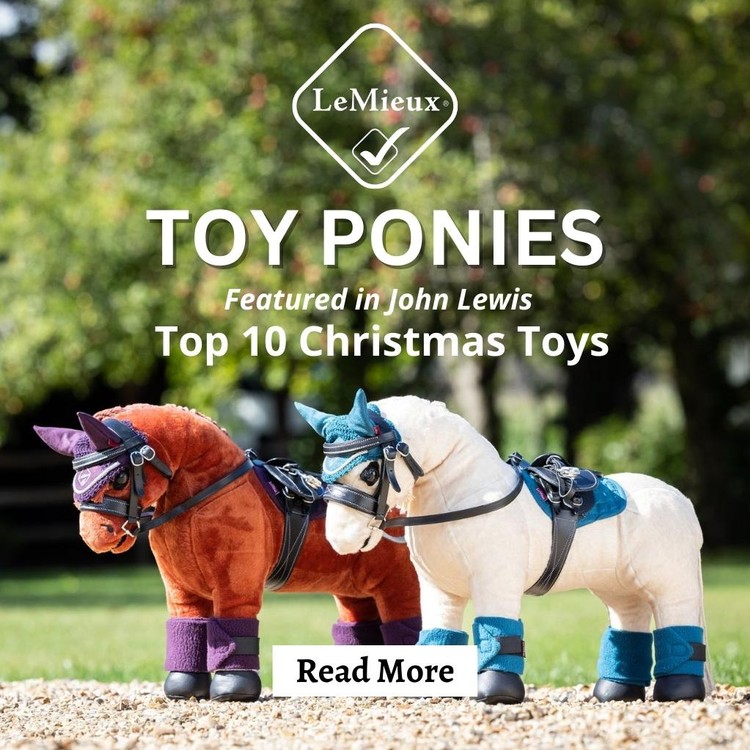 The Equine Warehouse