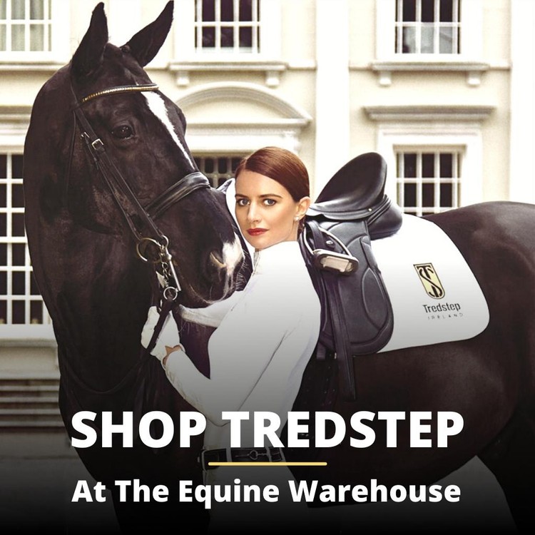 Tredstep Featured Page