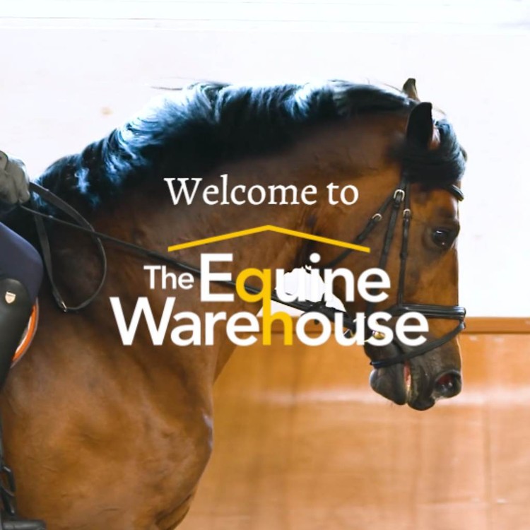 The Equine Warehouse