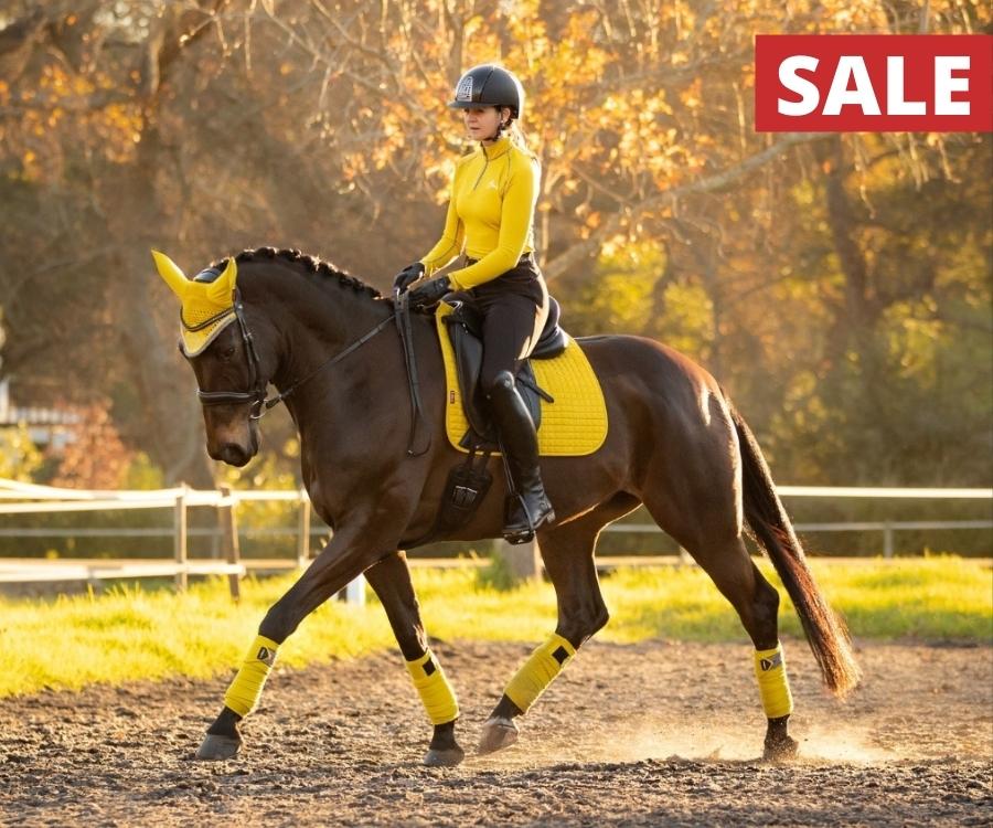 Lemieux Colour Collections