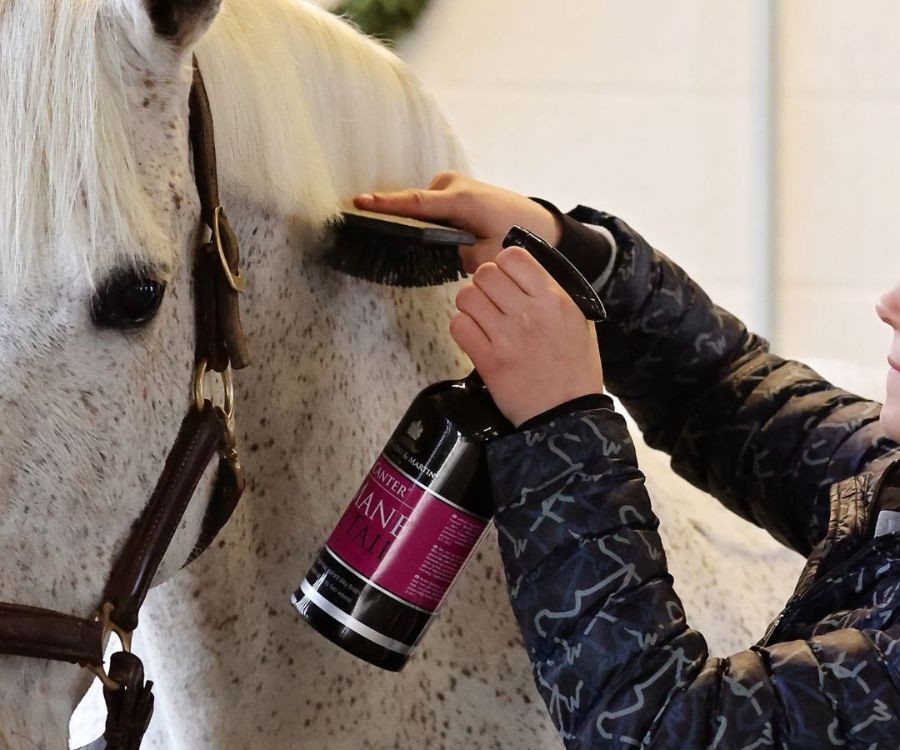 The Equine Warehouse