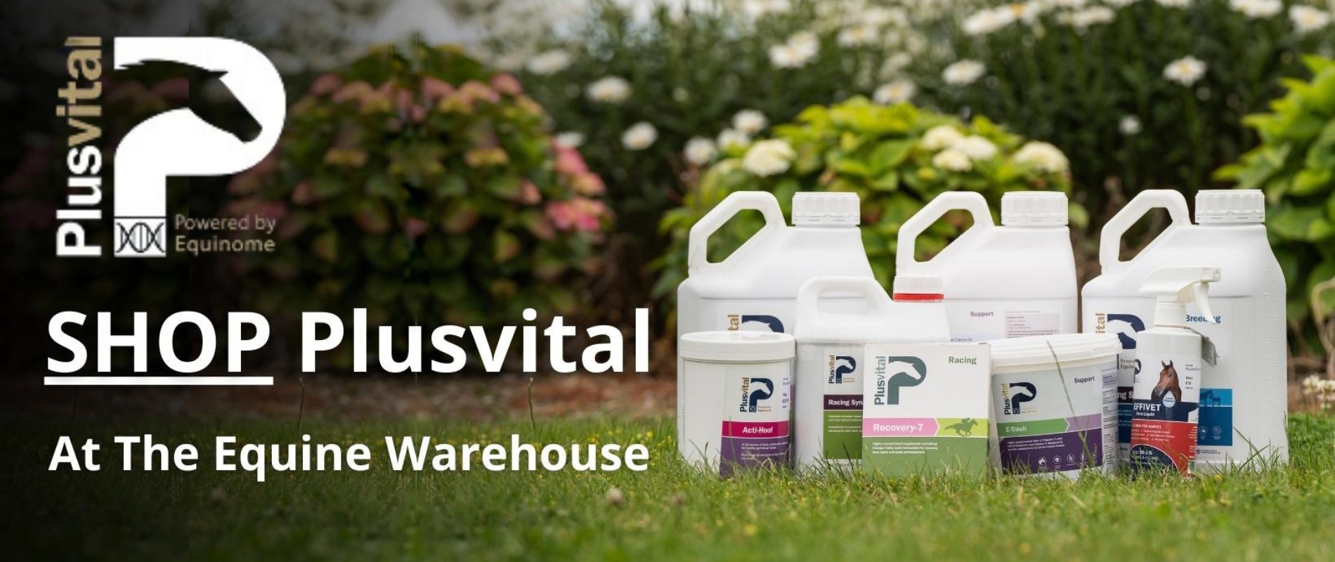 Plusvital Products and Supplements at The Equine Warehouse