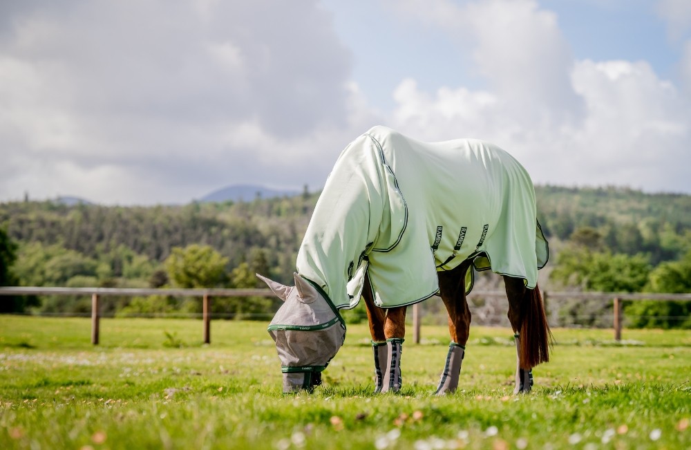 Horse - Equine Warehouse - The Equine Warehouse