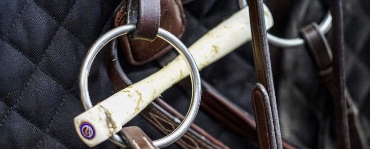 Bits - Horse - The Equine Warehouse