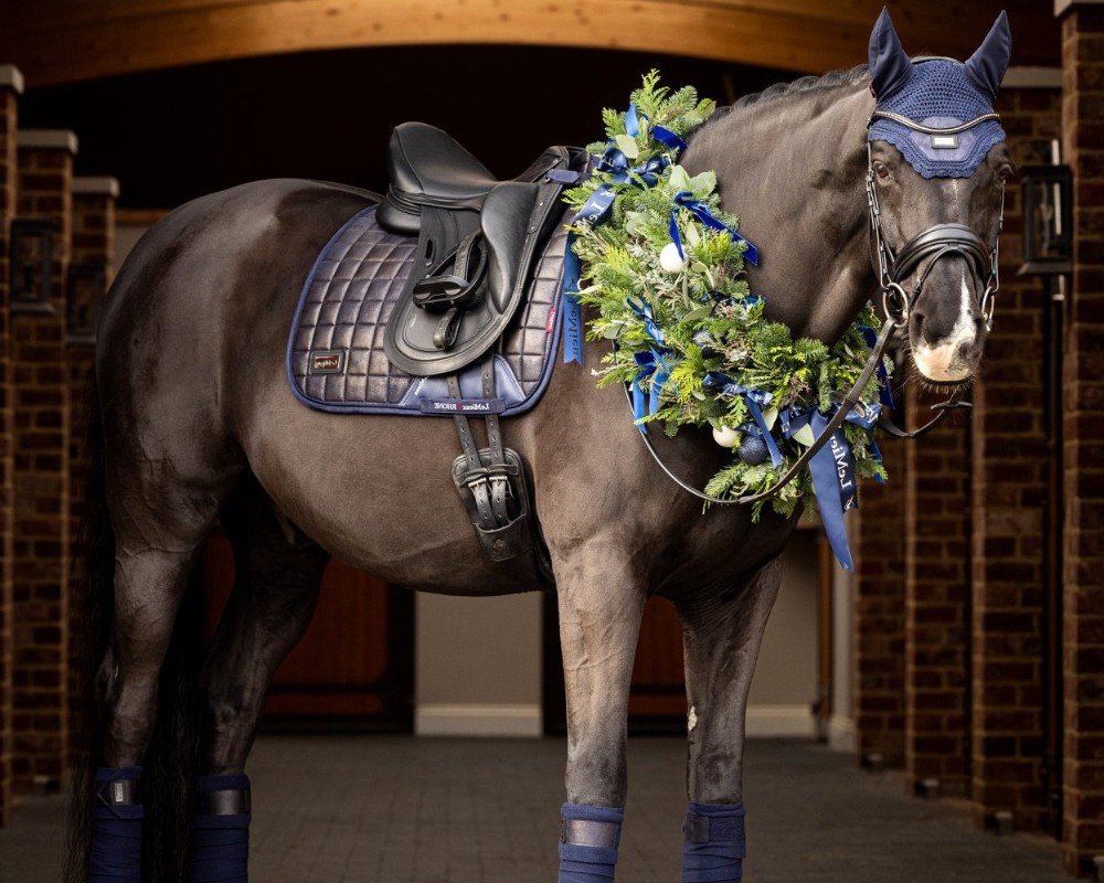 The Equine Warehouse