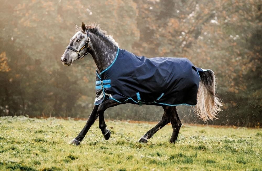Horse Rugs - Horse - The Equine Warehouse