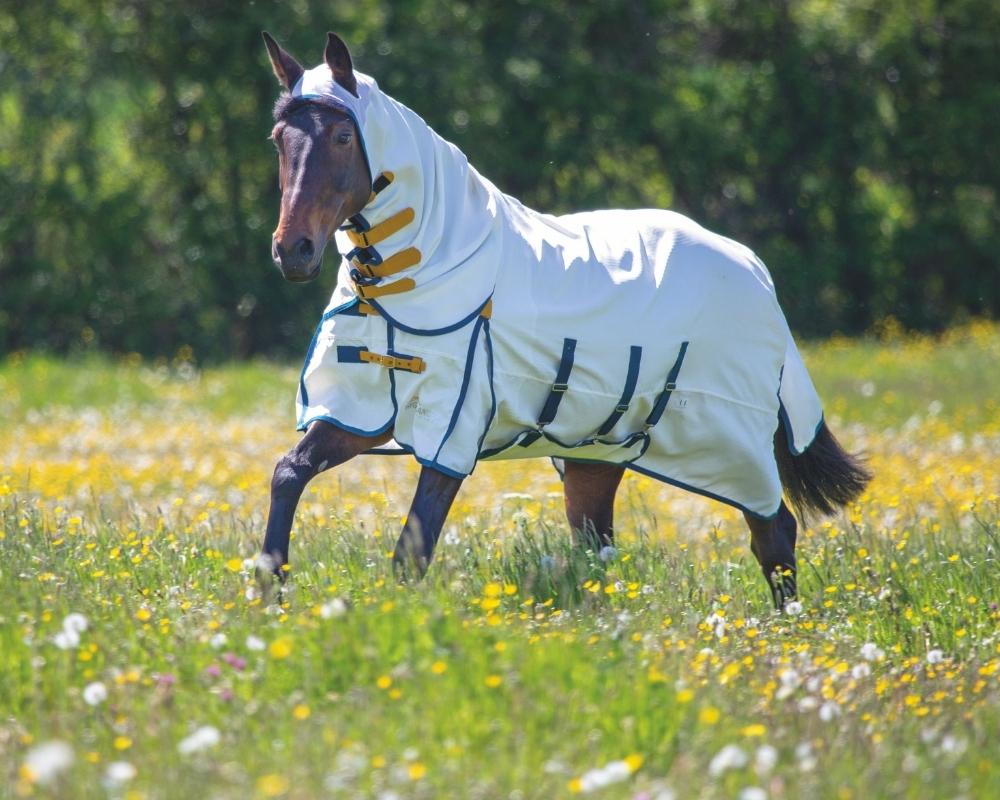 The Equine Warehouse
