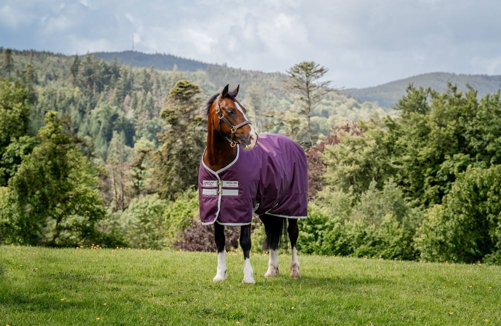 Brands A-Z - Equine Warehouse - The Equine Warehouse