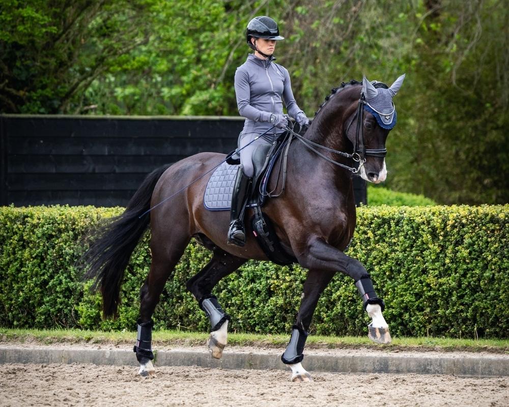 Lemieux Colour Collections